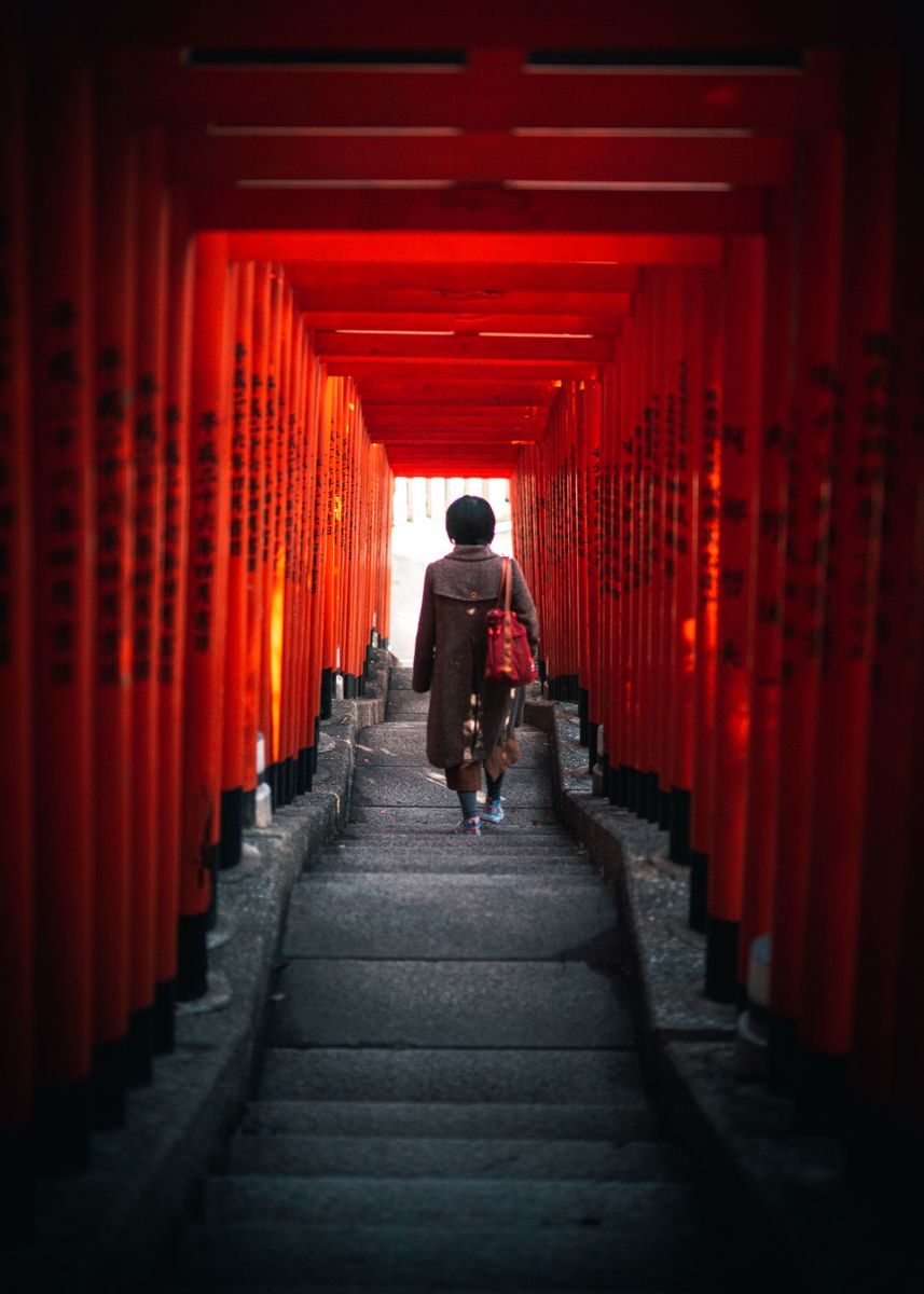 'Torri Tunnel' Poster, picture, metal print, paint by Ben Webster ...