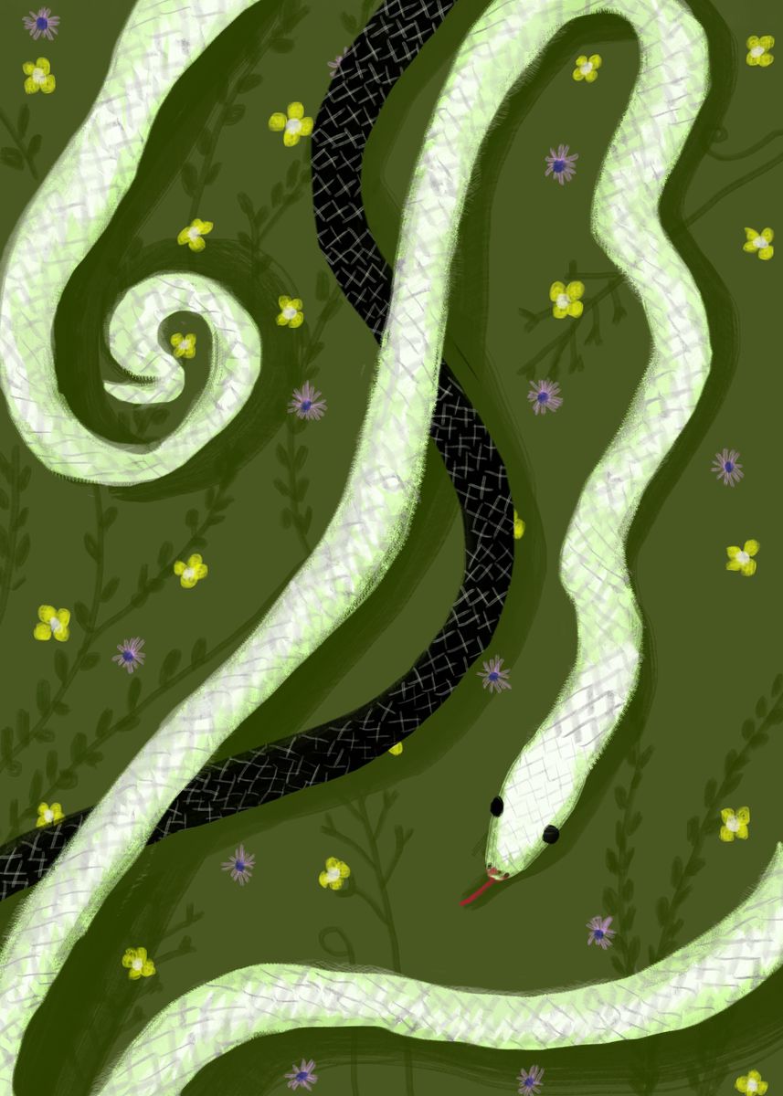 'Vipers' Poster, picture, metal print, paint by Aida Sinani | Displate