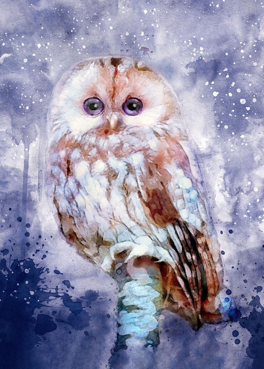 'Brown Owl' Poster by photoplace | Displate