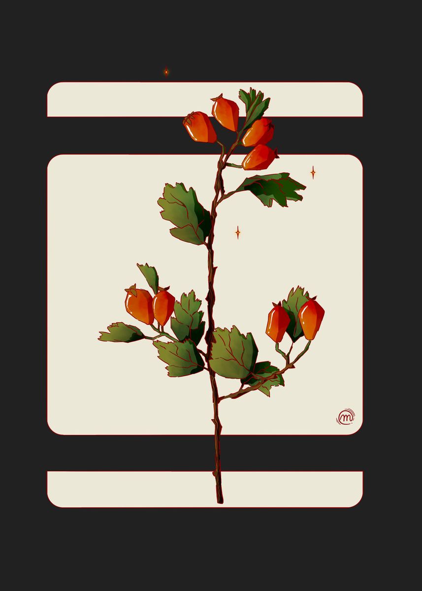 'Rosehip' Poster by Meruna | Displate