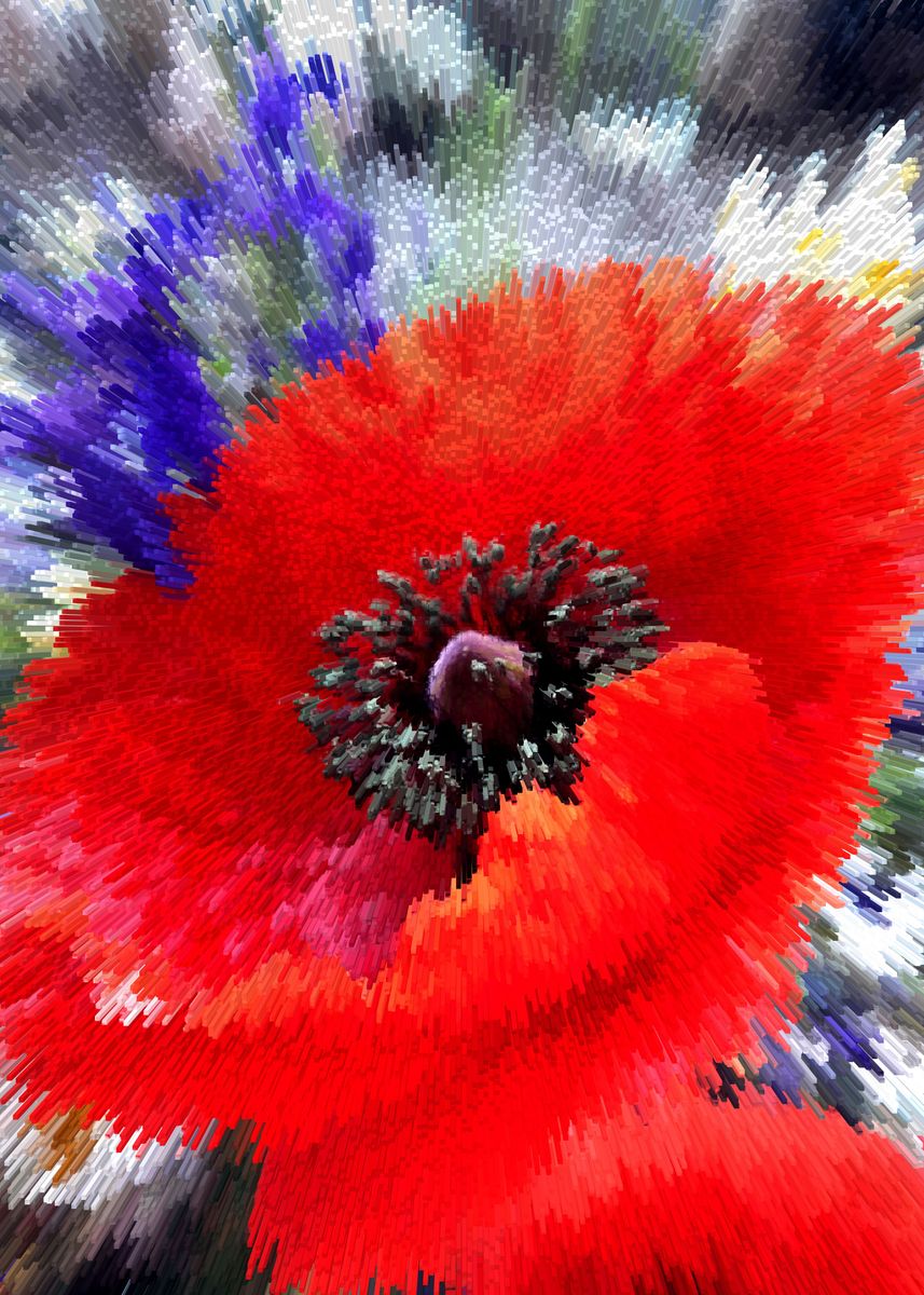 'Poppy explosion' Poster by Edy Art Space | Displate