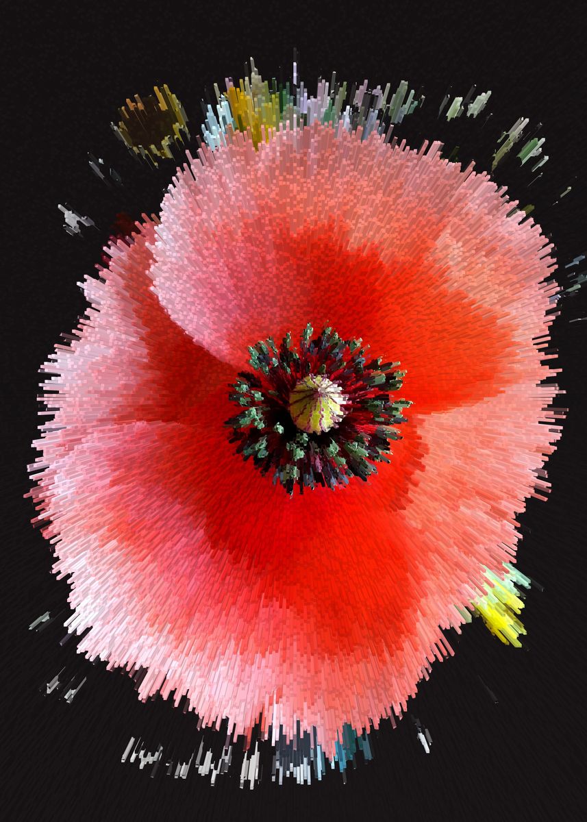 'Poppy symphony explosion' Poster, picture, metal print, paint by Edy ...