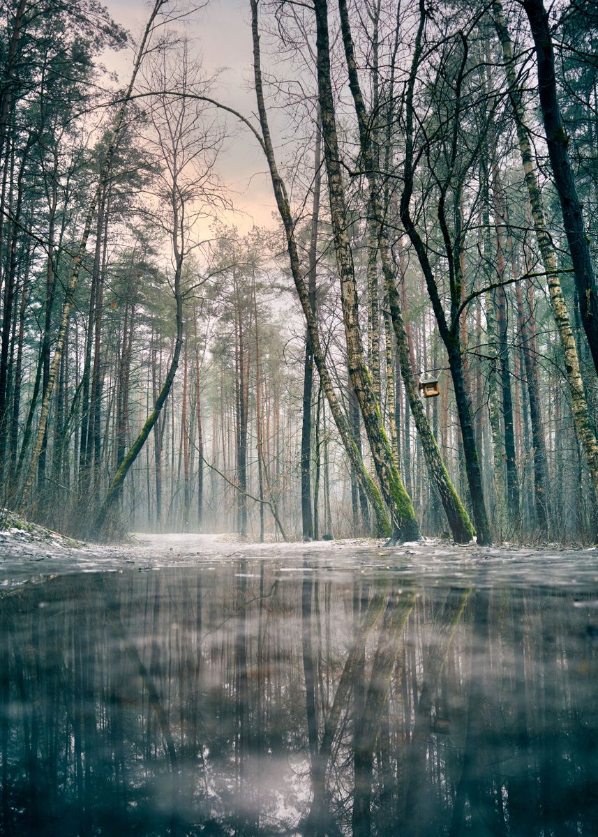 'Twilight Forest' Poster by Valso | Displate