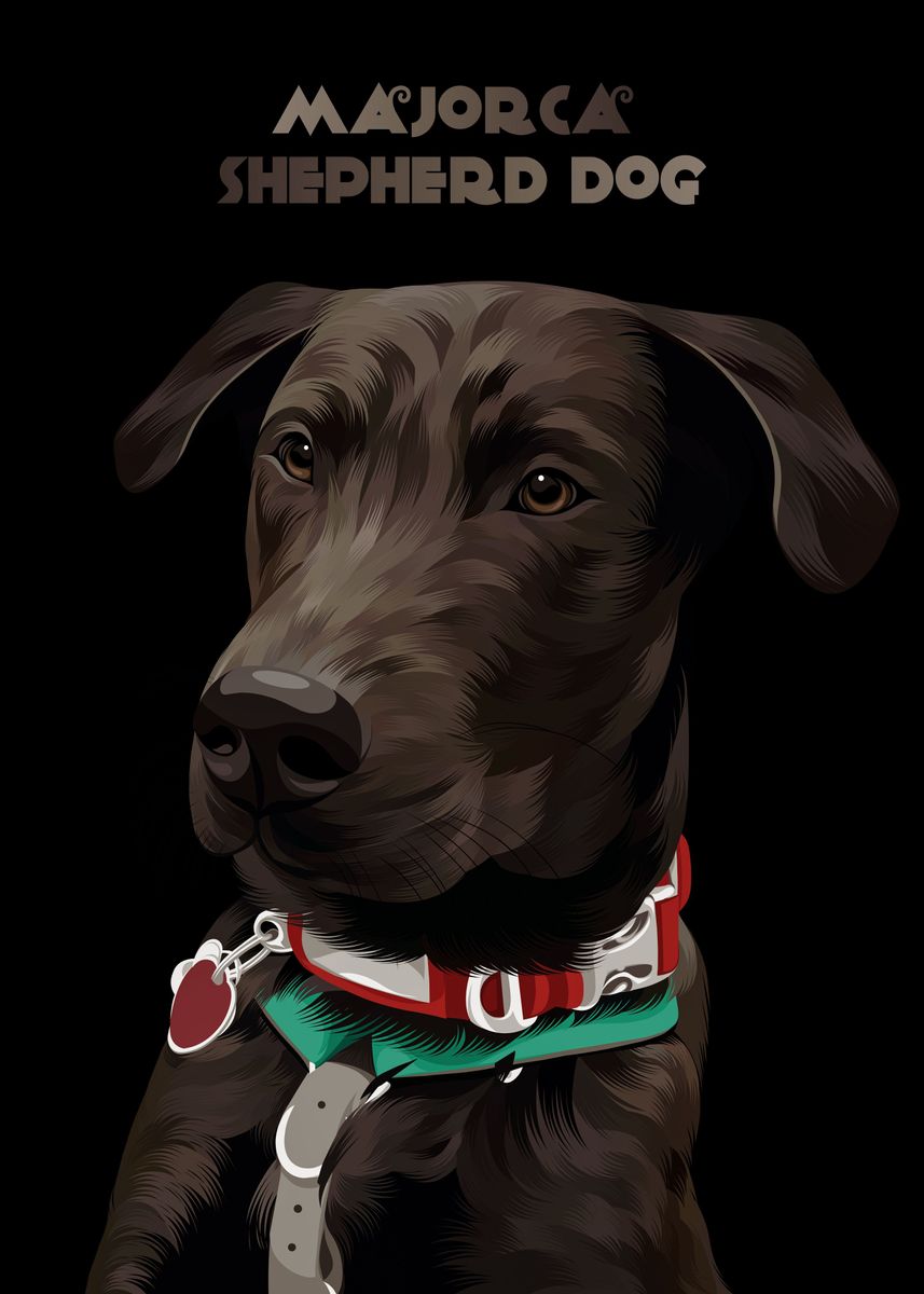 'Majorca Shepherd Dog' Poster by Muh Aslan | Displate