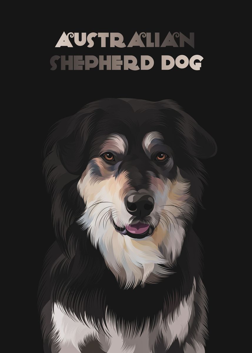 'australian shepherd dog' Poster, picture, metal print, paint by Muh ...