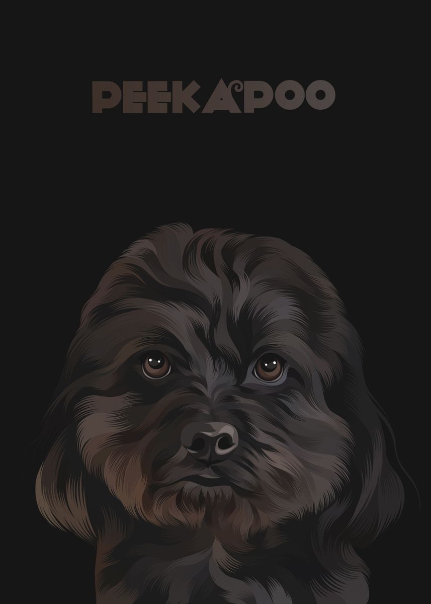 'Peekapoo' Poster, picture, metal print, paint by Muh Aslan | Displate