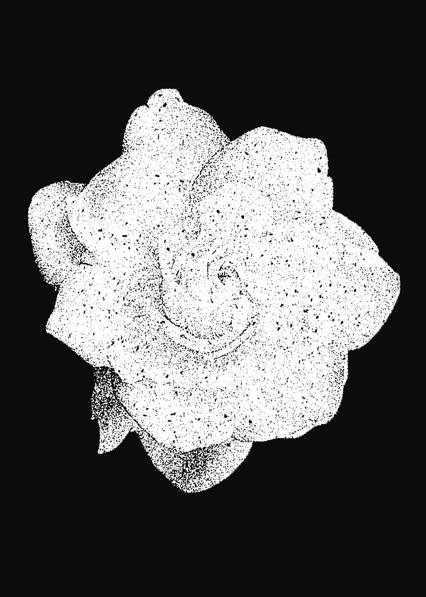 'Pointillist Rose ' Poster, picture, metal print, paint by Wajimaaa ...