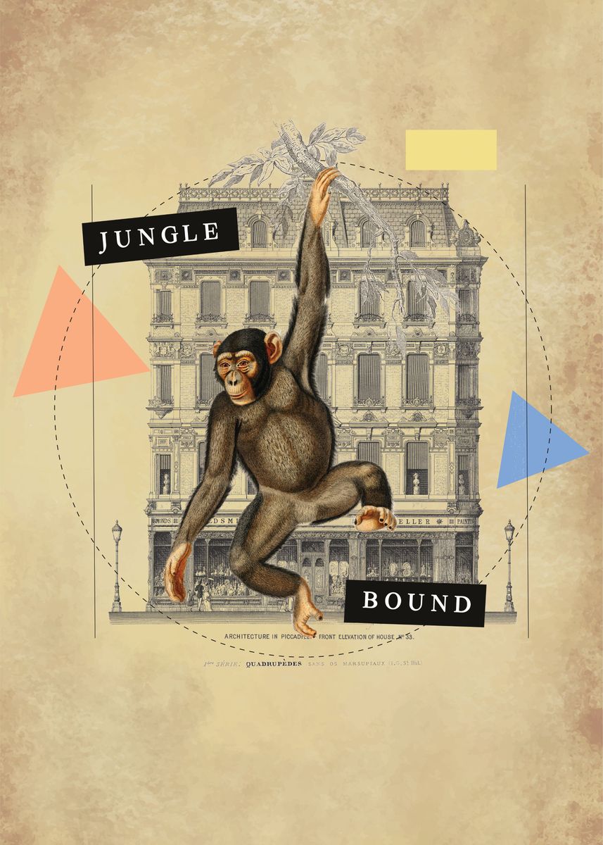 'Vintage Monkey Collage' Poster, picture, metal print, paint by ...