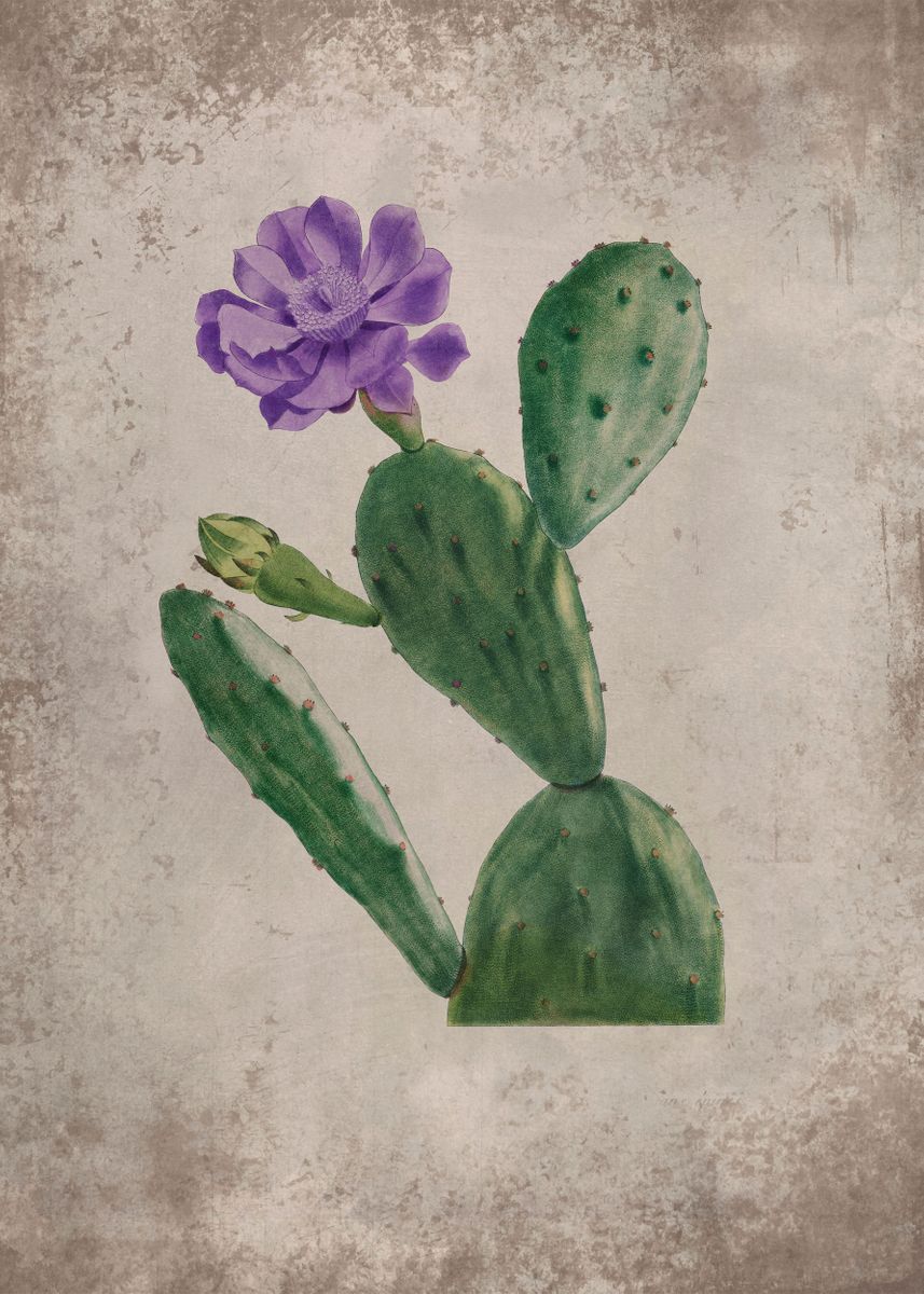 'Desert Flora Cactus 3' Poster, picture, metal print, paint by XandYart ...