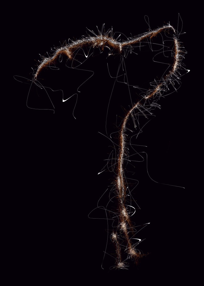 'Scribble Dog' Poster by Fill Artwork | Displate