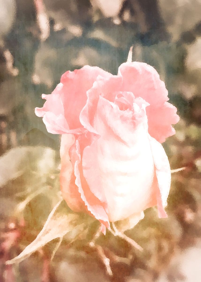 'Vintage pink retro rose' Poster, picture, metal print, paint by Edy ...