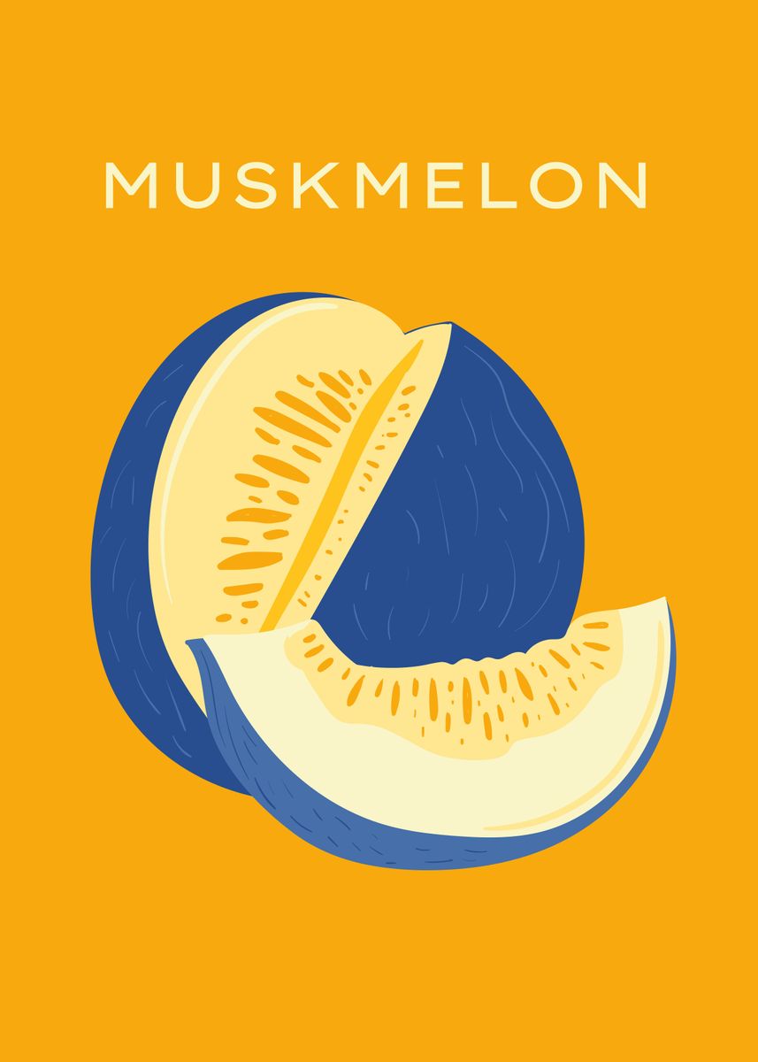'Muskmelon botanical fruit' Poster, picture, metal print, paint by ...