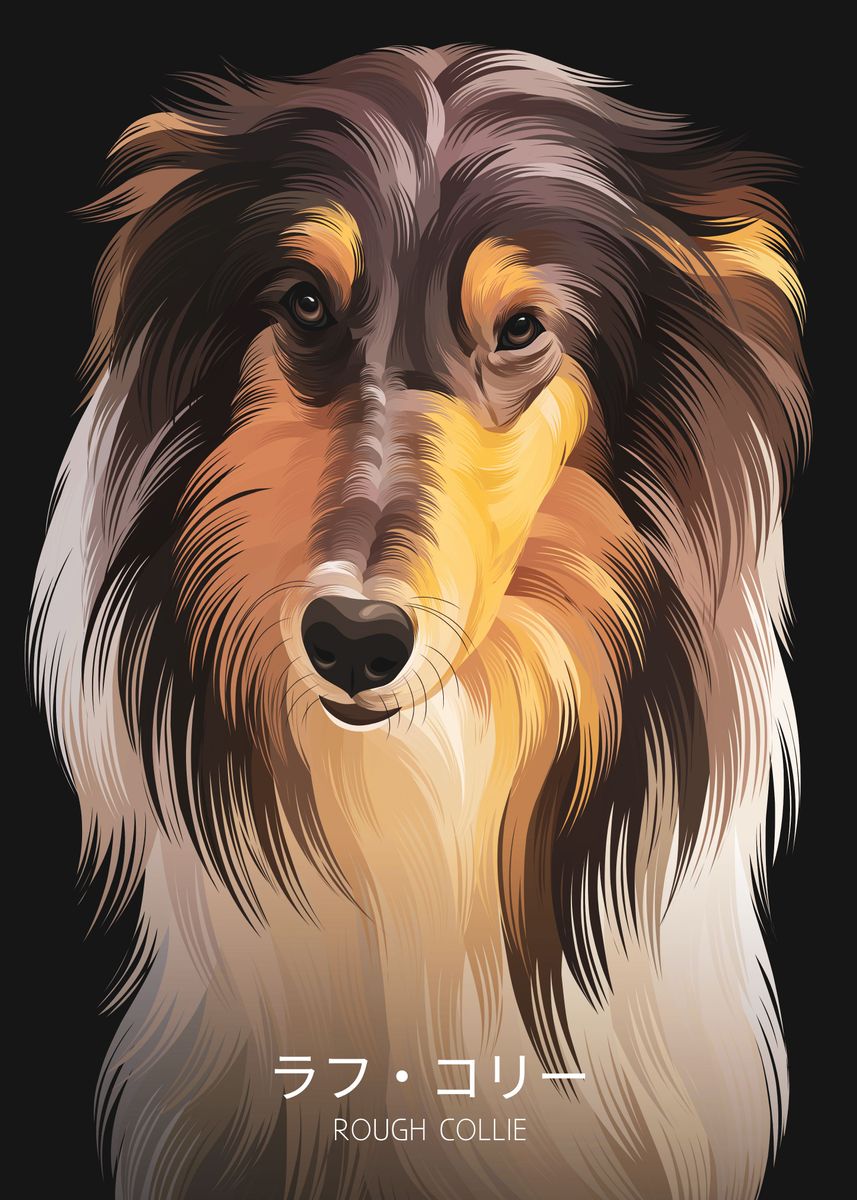 'Rough Collie' Poster, picture, metal print, paint by Muh Aslan | Displate