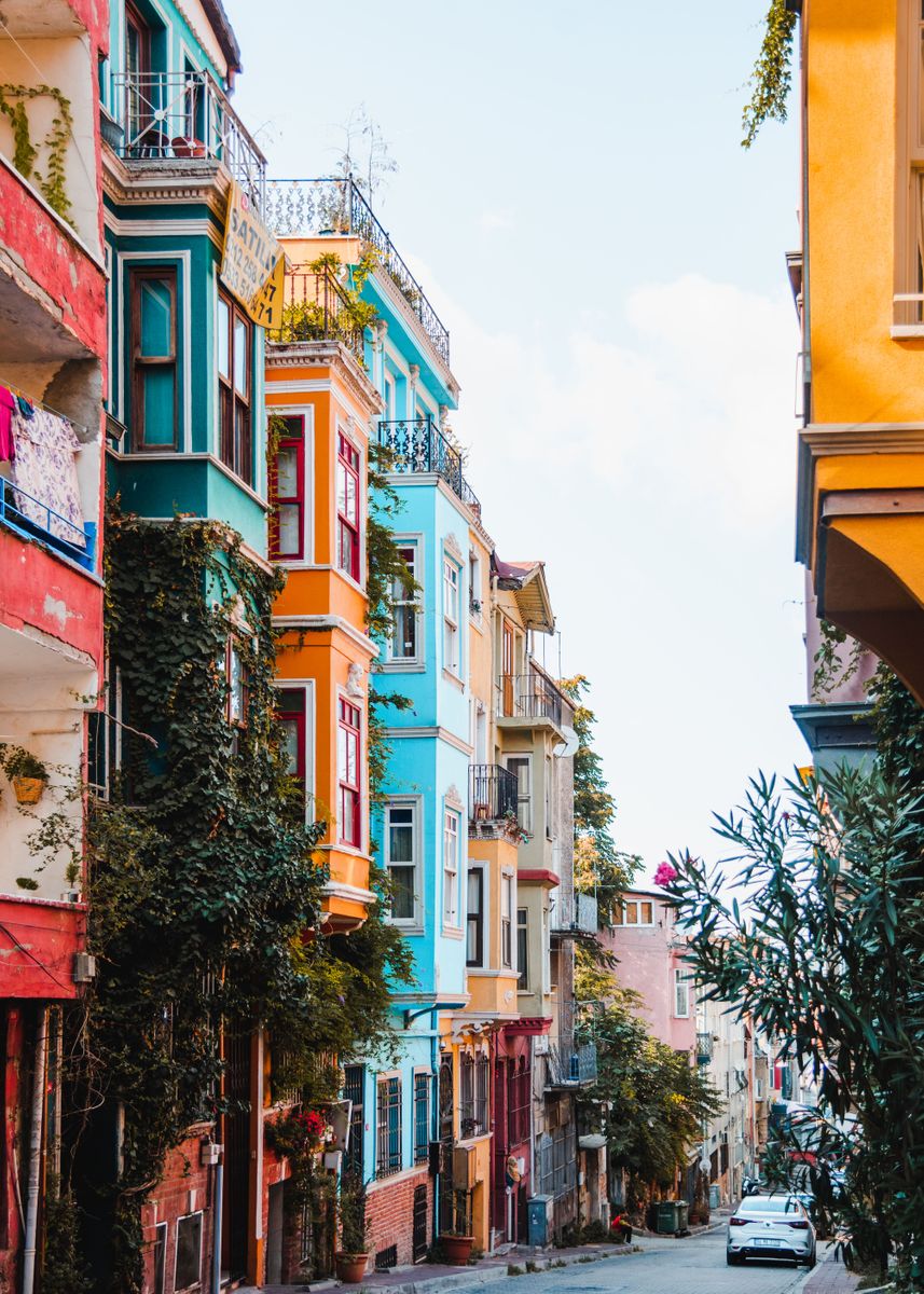 'Balat' Poster by Octavian Sova | Displate