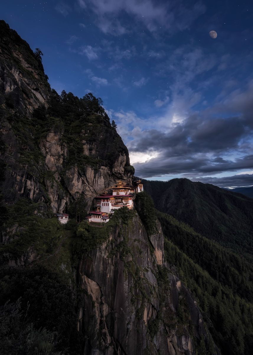 'Den of The Tigress' Poster by Conor MacNeill | Displate