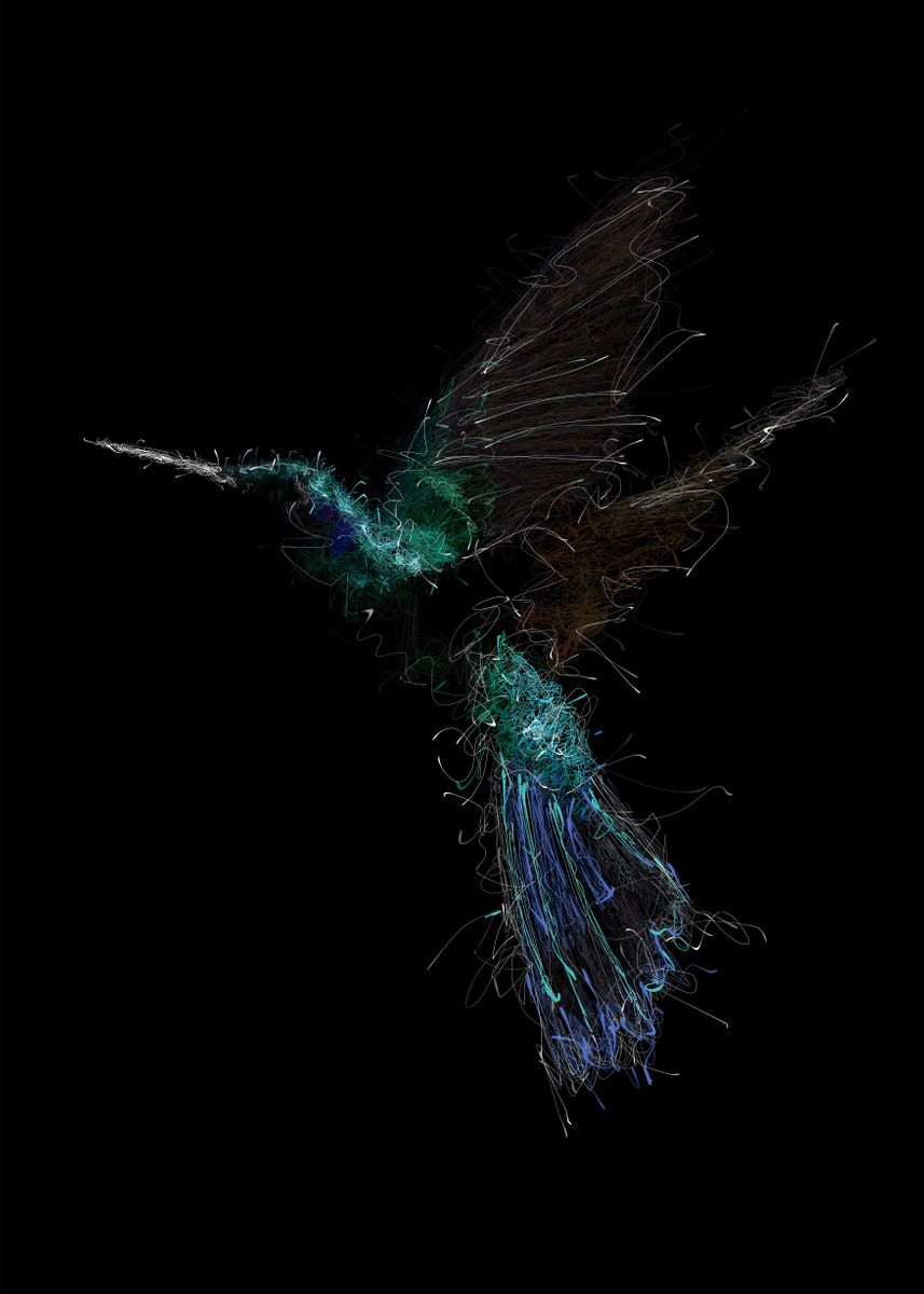 'Scribble' Poster by Fill Artwork | Displate