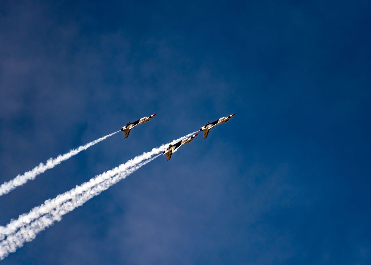 'Take Flight' Poster by James Suarez | Displate