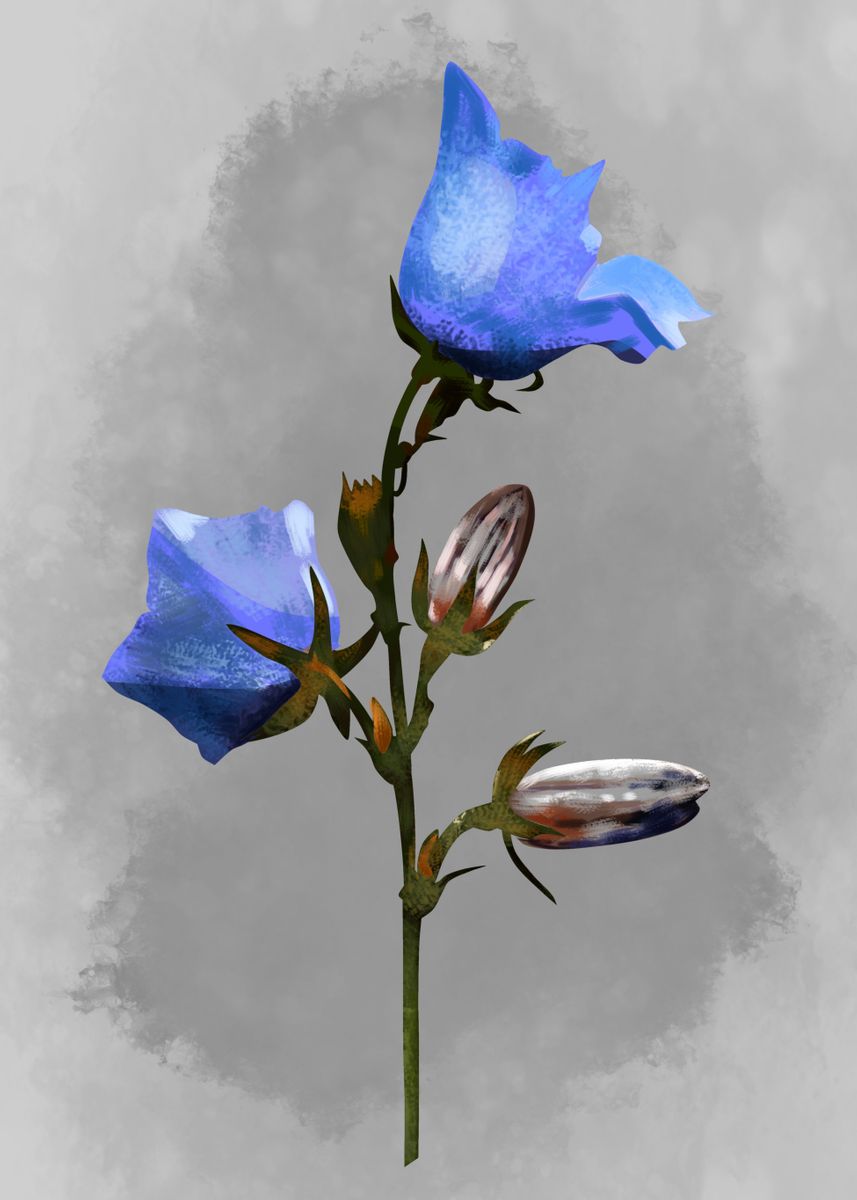 'flower ' Poster, picture, metal print, paint by Nesrin Gulistan | Displate