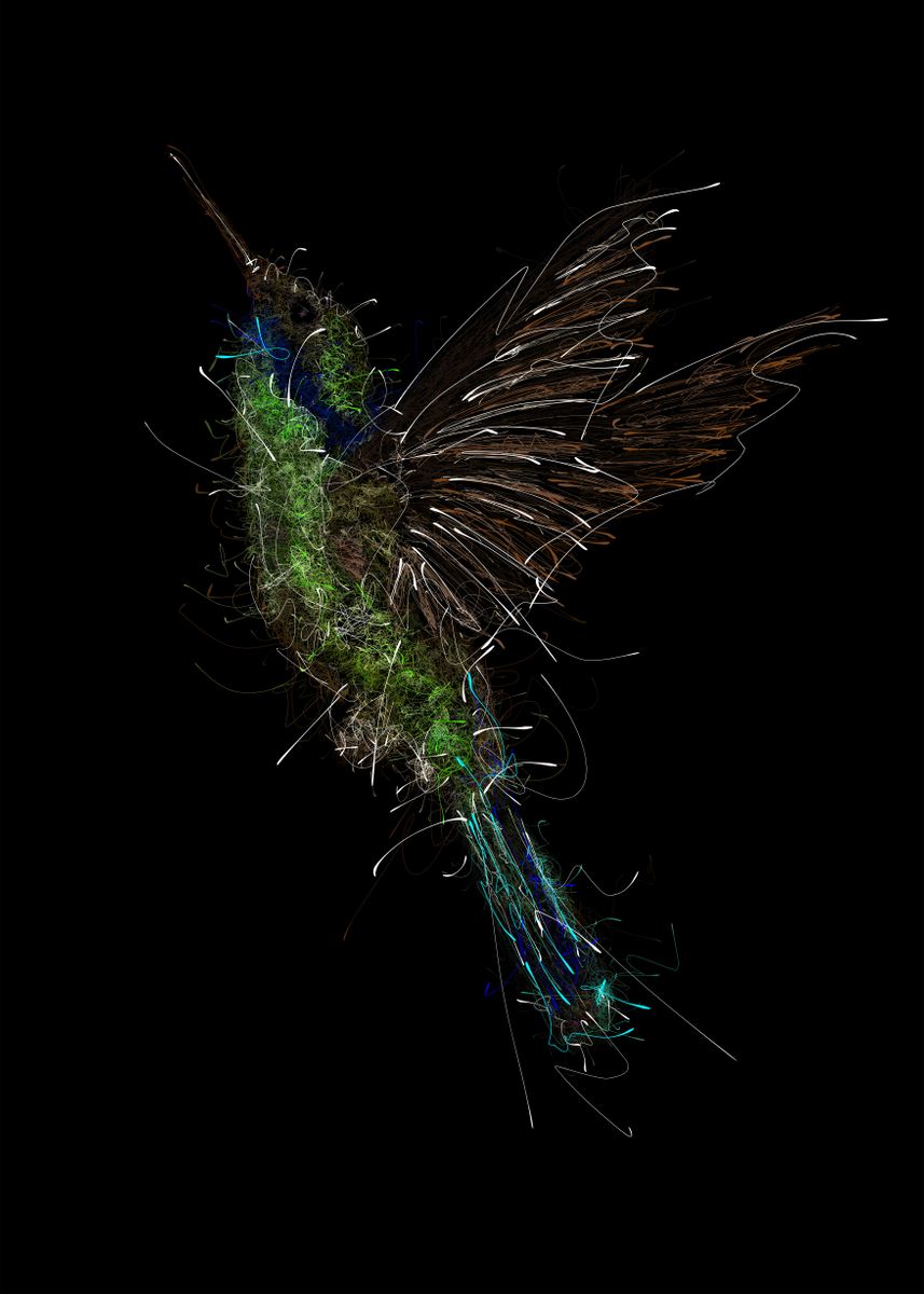 'Scribble' Poster by Fill Artwork | Displate