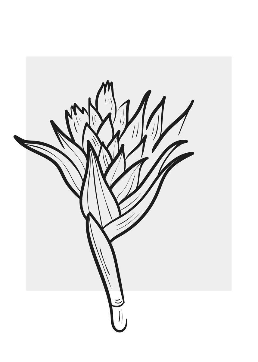 Teuila Flower Drawing | Best Flower Site