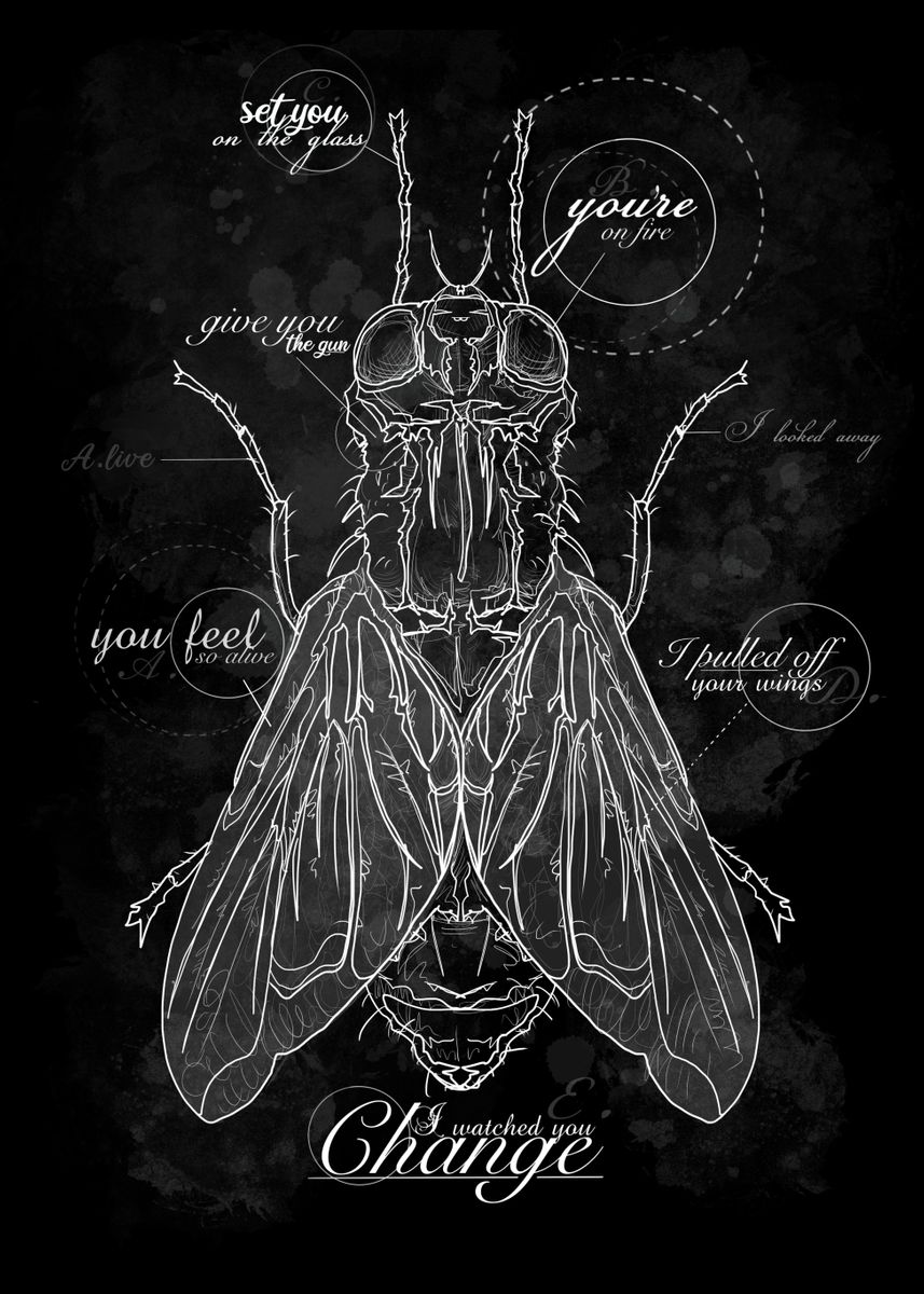 'The Fly' Poster, picture, metal print, paint by LVB Art | Displate