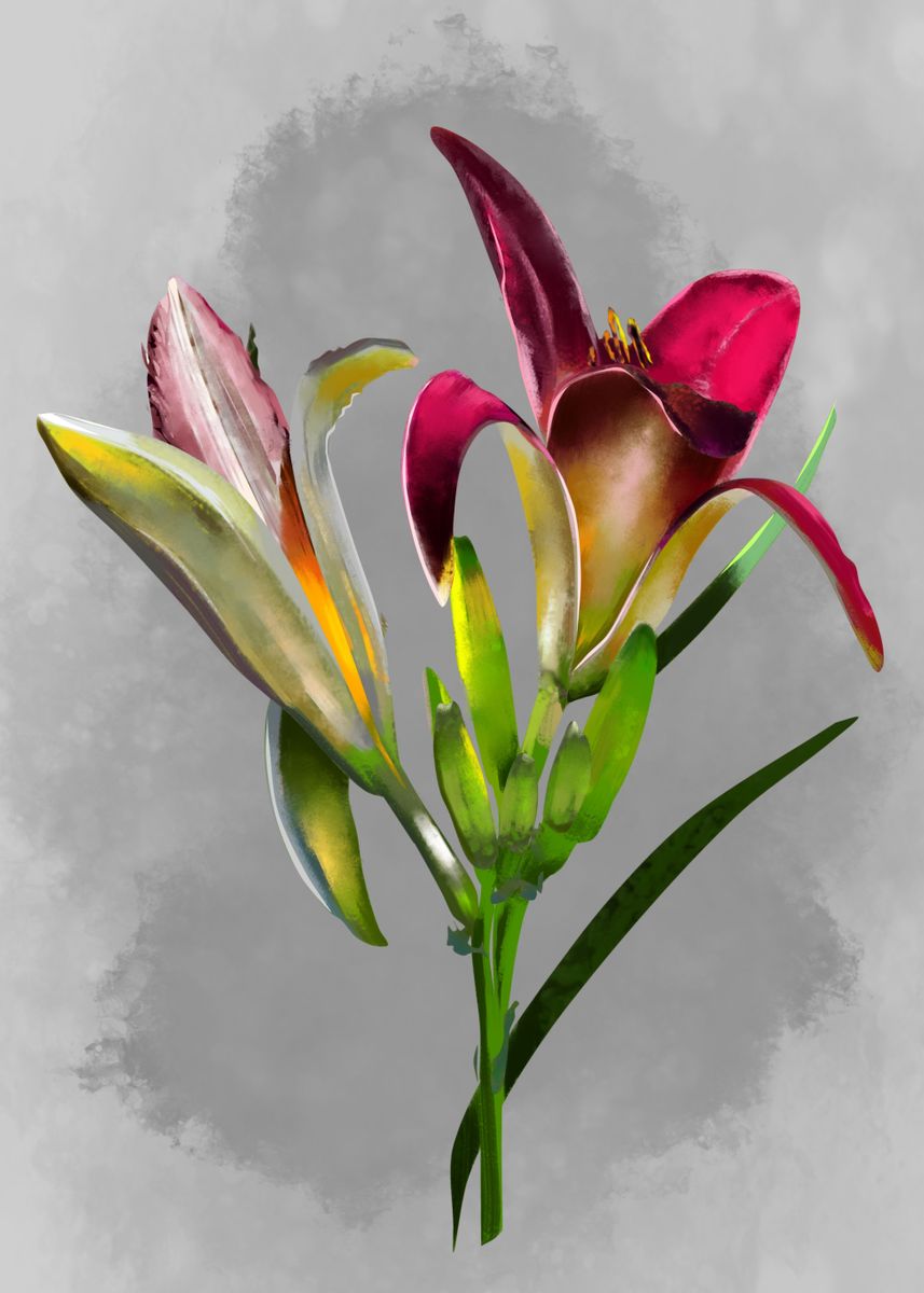 'flower ' Poster, picture, metal print, paint by Nesrin Gulistan | Displate