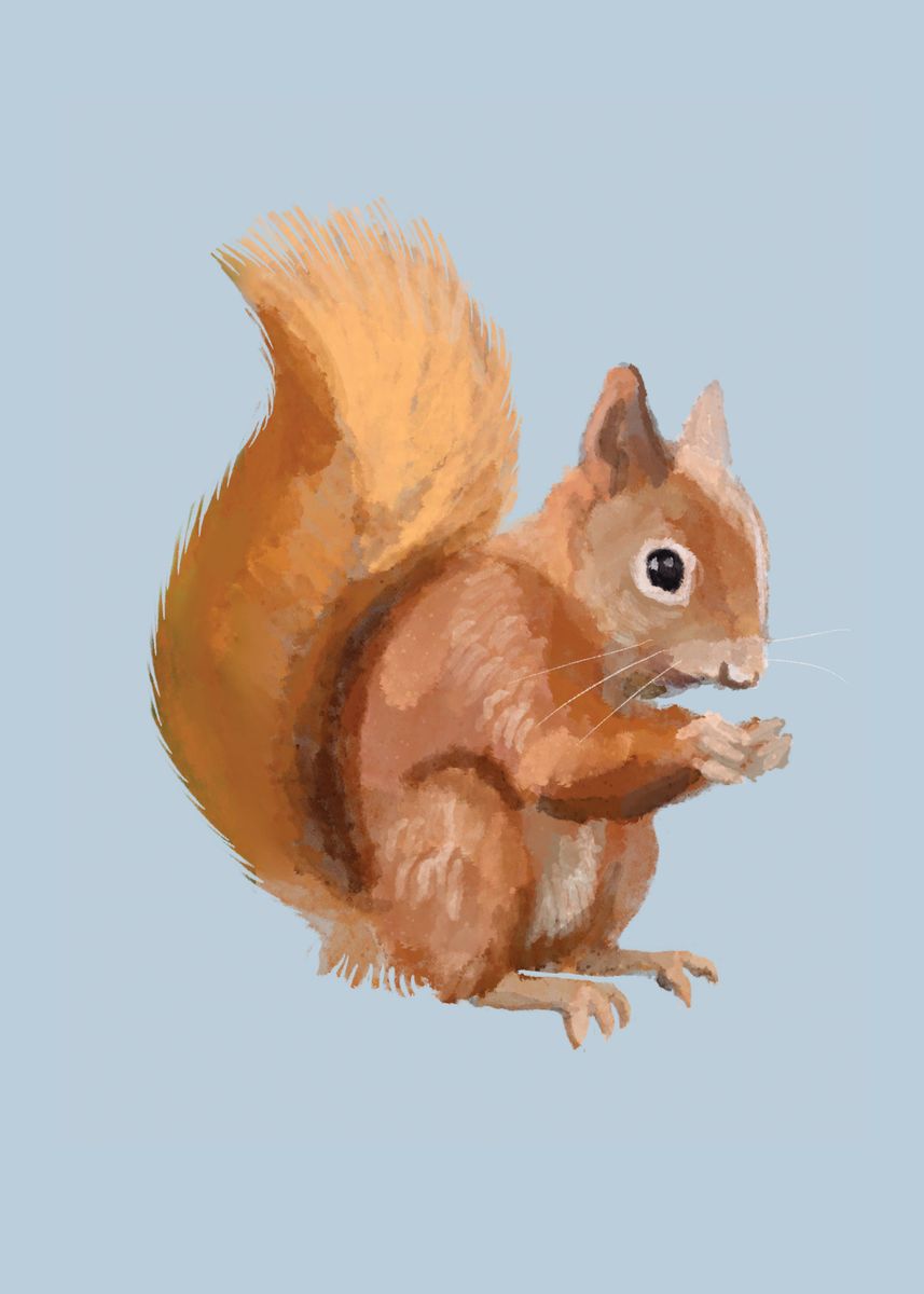 'Red Squirrel' Poster by Matt Corrigan | Displate