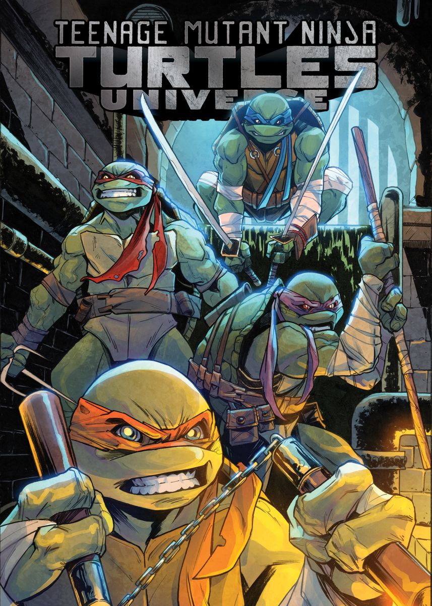'Cover TMNT Universe' Poster, picture, metal print, paint by TMNT ...