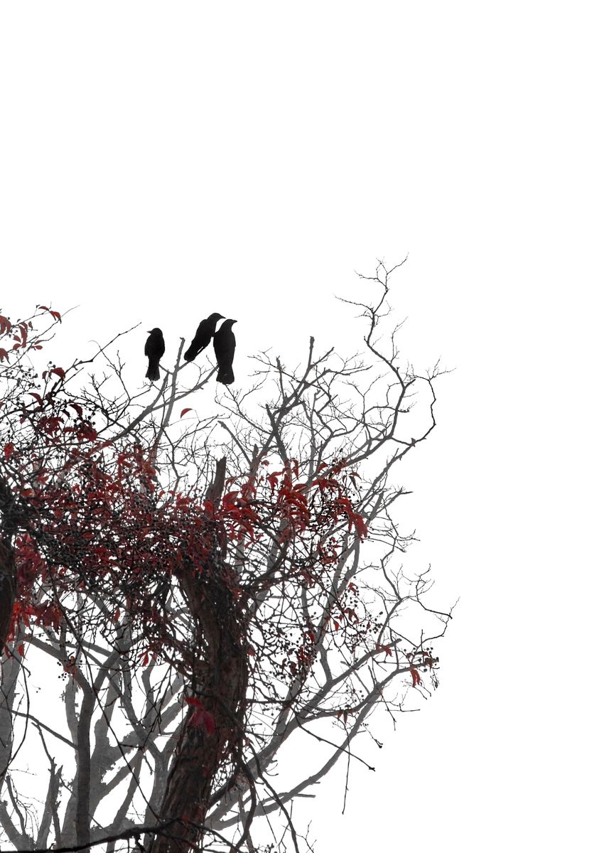 'Three Crows' Poster by Brooke T Ryan | Displate