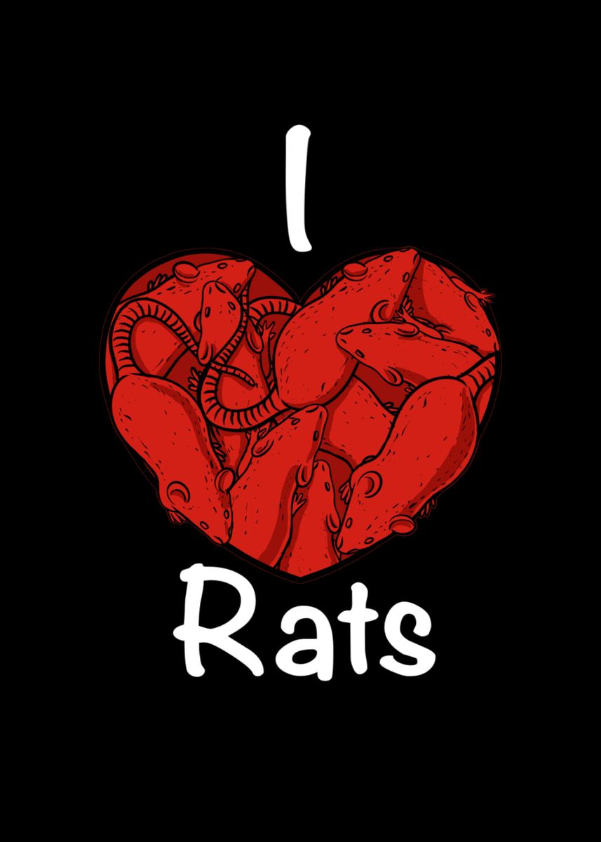 'I love rats quote for rats' Poster, picture, metal print, paint by ...