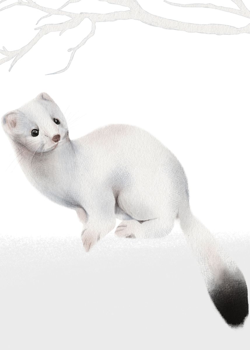 'Weasel ' Poster, picture, metal print, paint by Tantowi Gilang | Displate