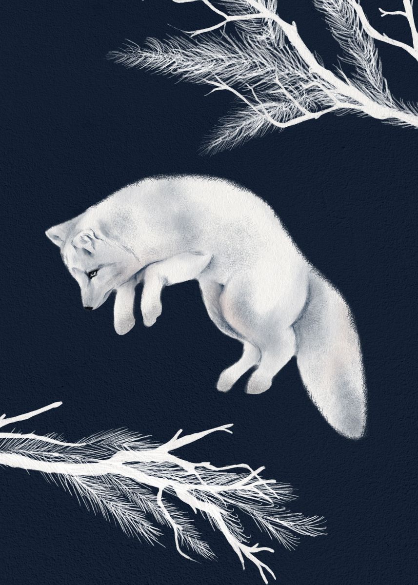 'Arctic Fox' Poster, picture, metal print, paint by Tantowi Gilang ...