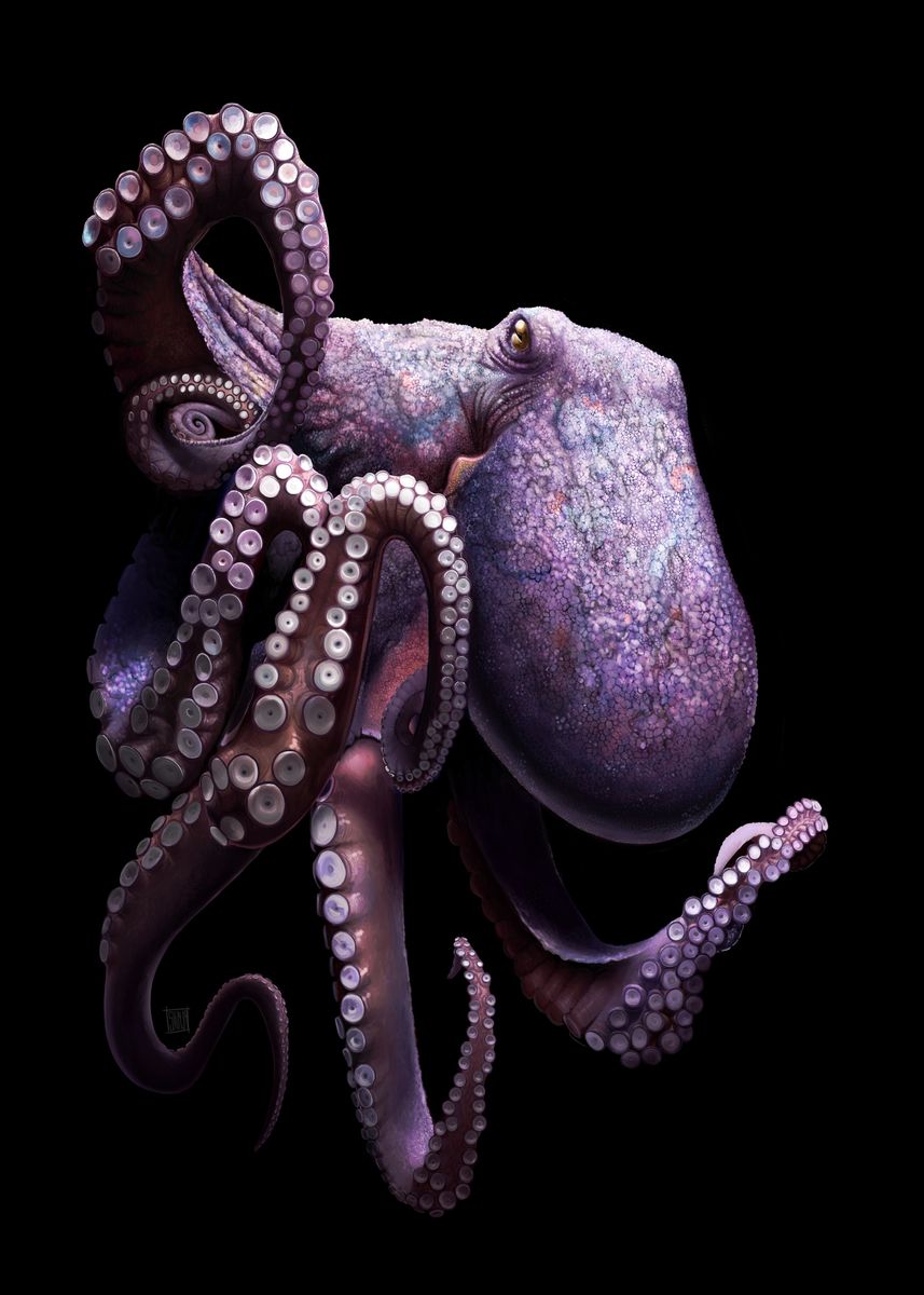 'Purple Octopus' Poster, picture, metal print, paint by Shinja | Displate