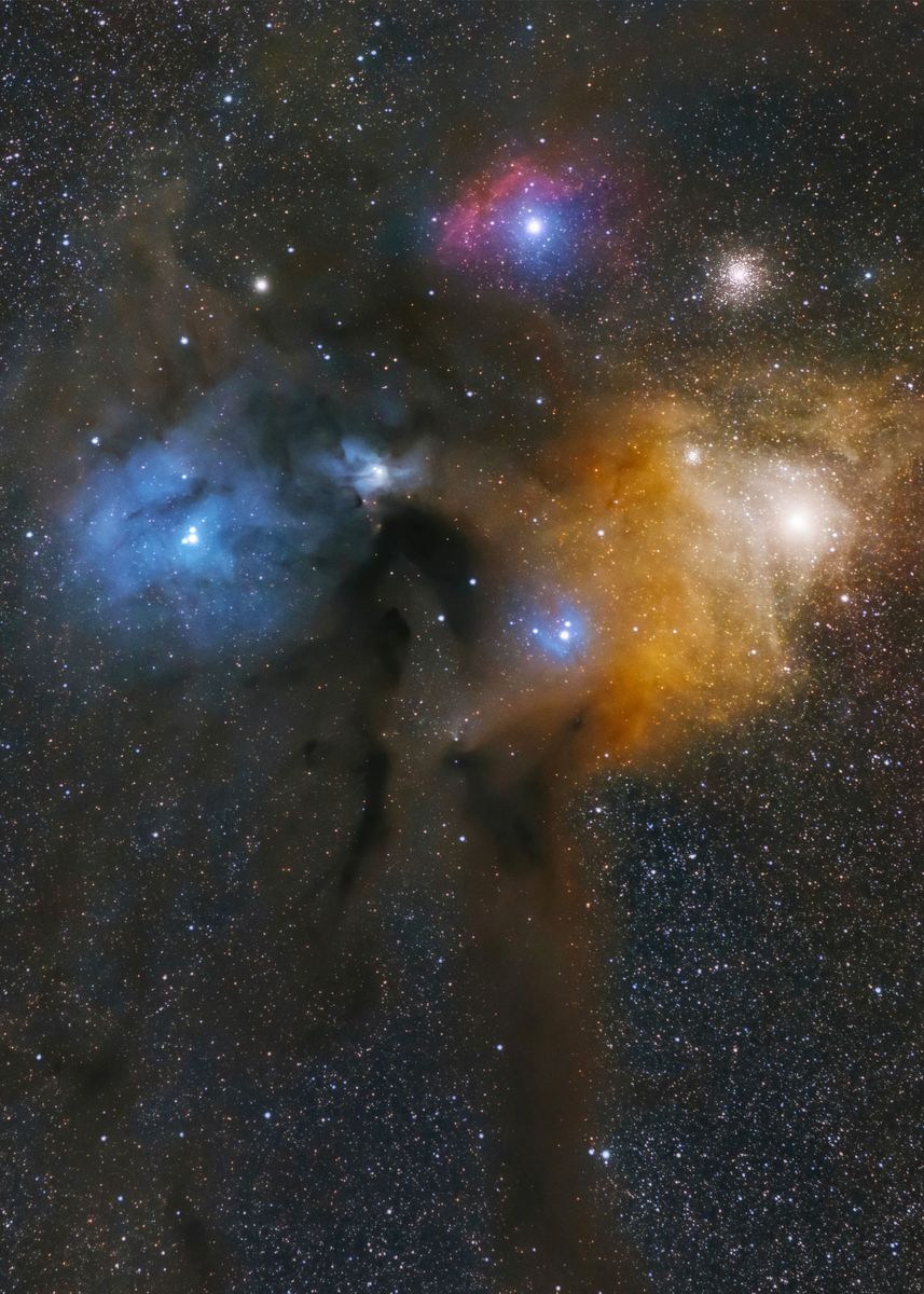 'Rho Ophiuchi cloud complex' Poster, picture, metal print, paint by ...