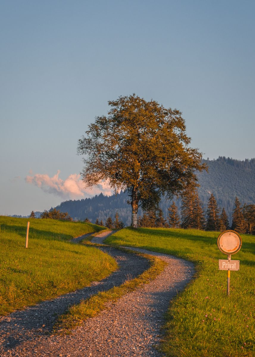 'Private Tree' Poster, picture, metal print, paint by Marcel Bisig ...