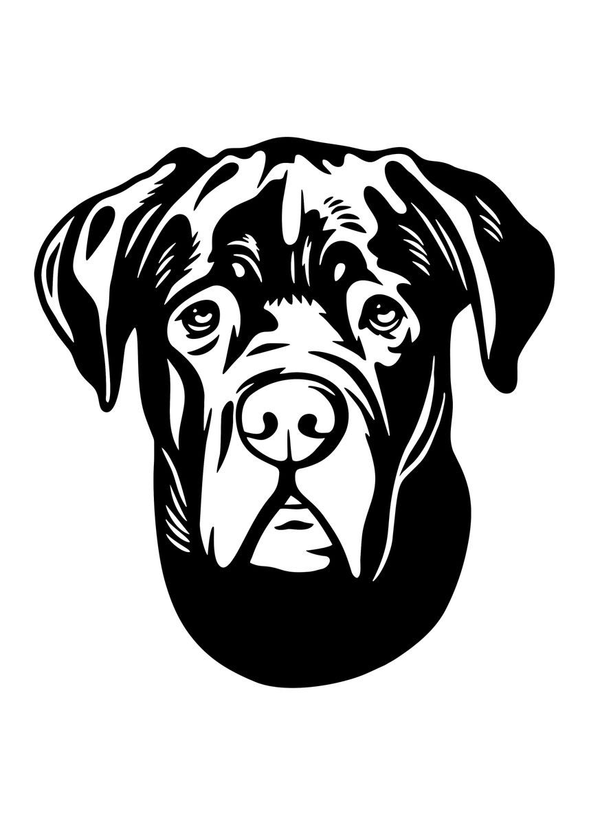 'Funny Dog Face' Poster, picture, metal print, paint by Color My Wall ...