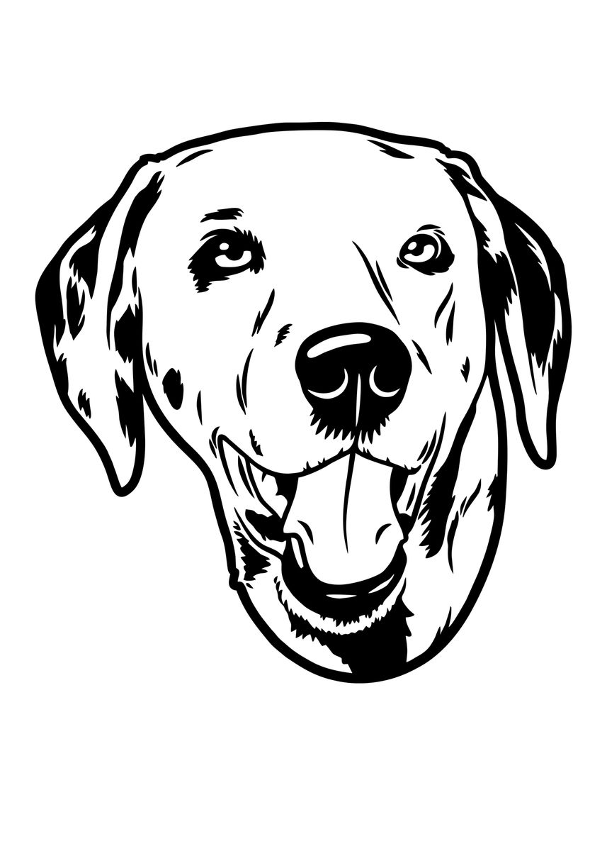 'Funny Dog Face' Poster, picture, metal print, paint by Color My Wall ...