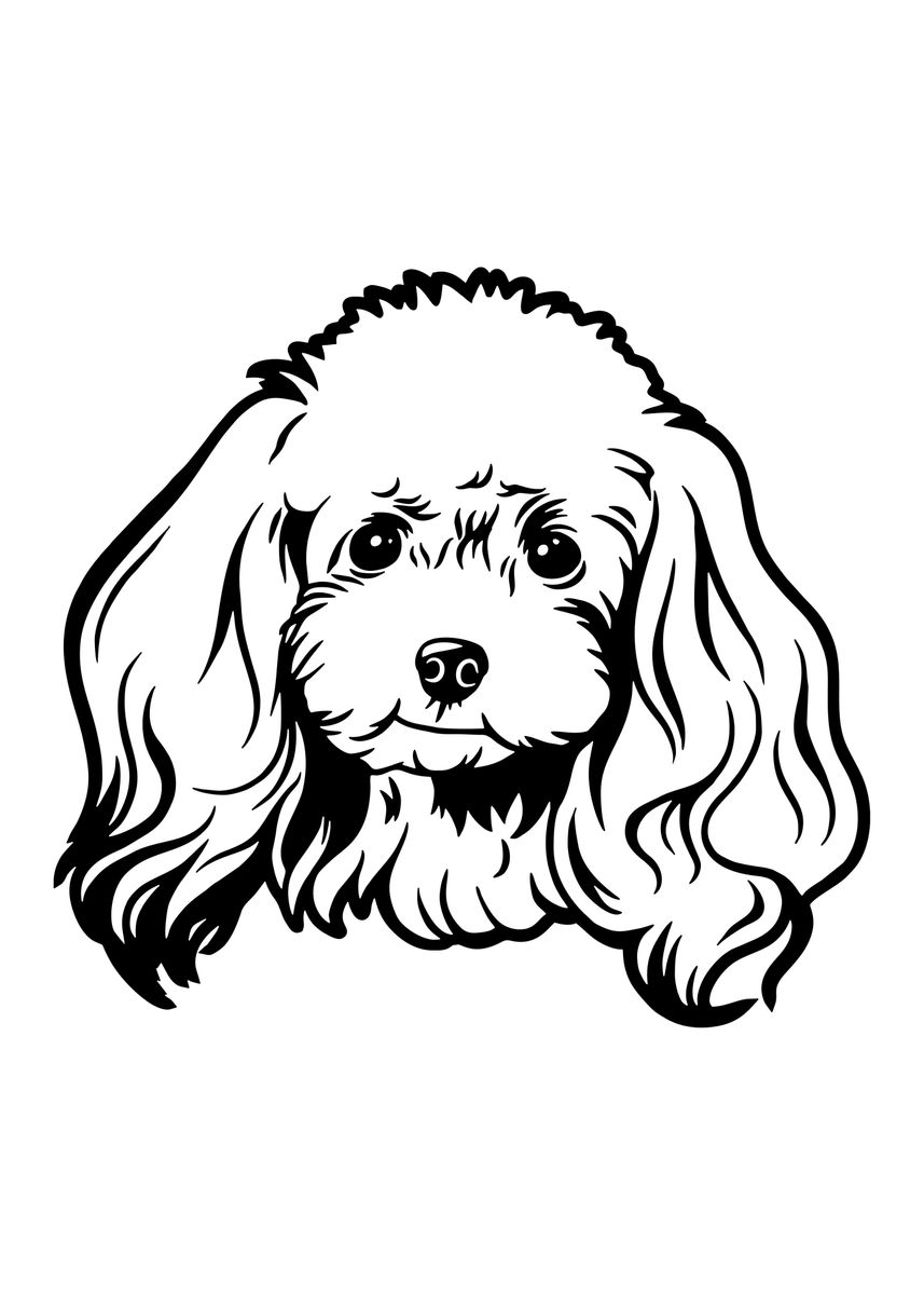 'Funny Dog Face' Poster, picture, metal print, paint by Color My Wall ...