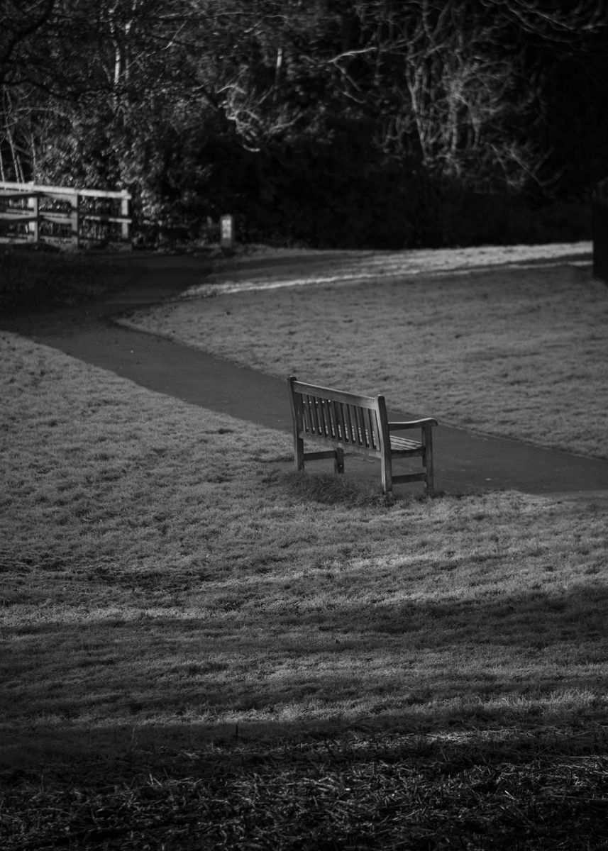 'Lone Bench' Poster by Curtis Beadle | Displate