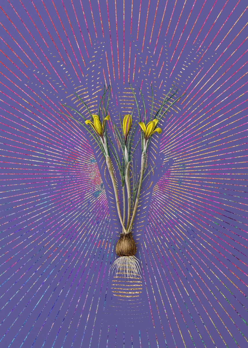 'Cloth of Gold Crocus' Poster, picture, metal print, paint by Holy Rock ...