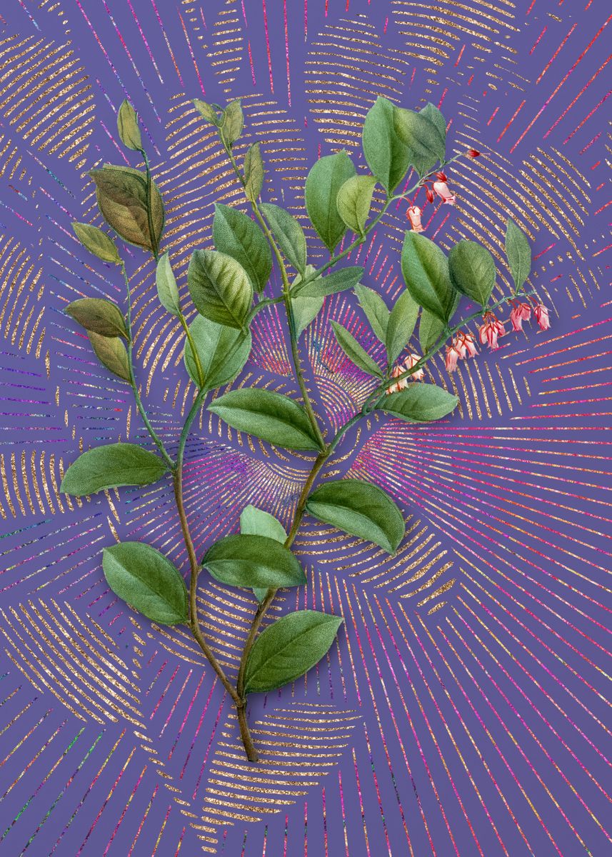 'Andromeda Axillaris Bloom' Poster, picture, metal print, paint by Holy ...