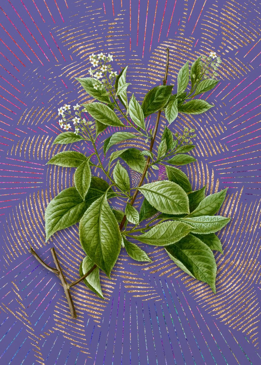 'American Bittersweet' Poster by Holy Rock Design | Displate