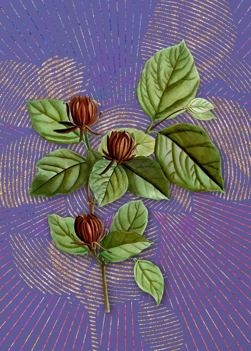 'Carolina Allspice Flower' Poster by Holy Rock Design | Displate