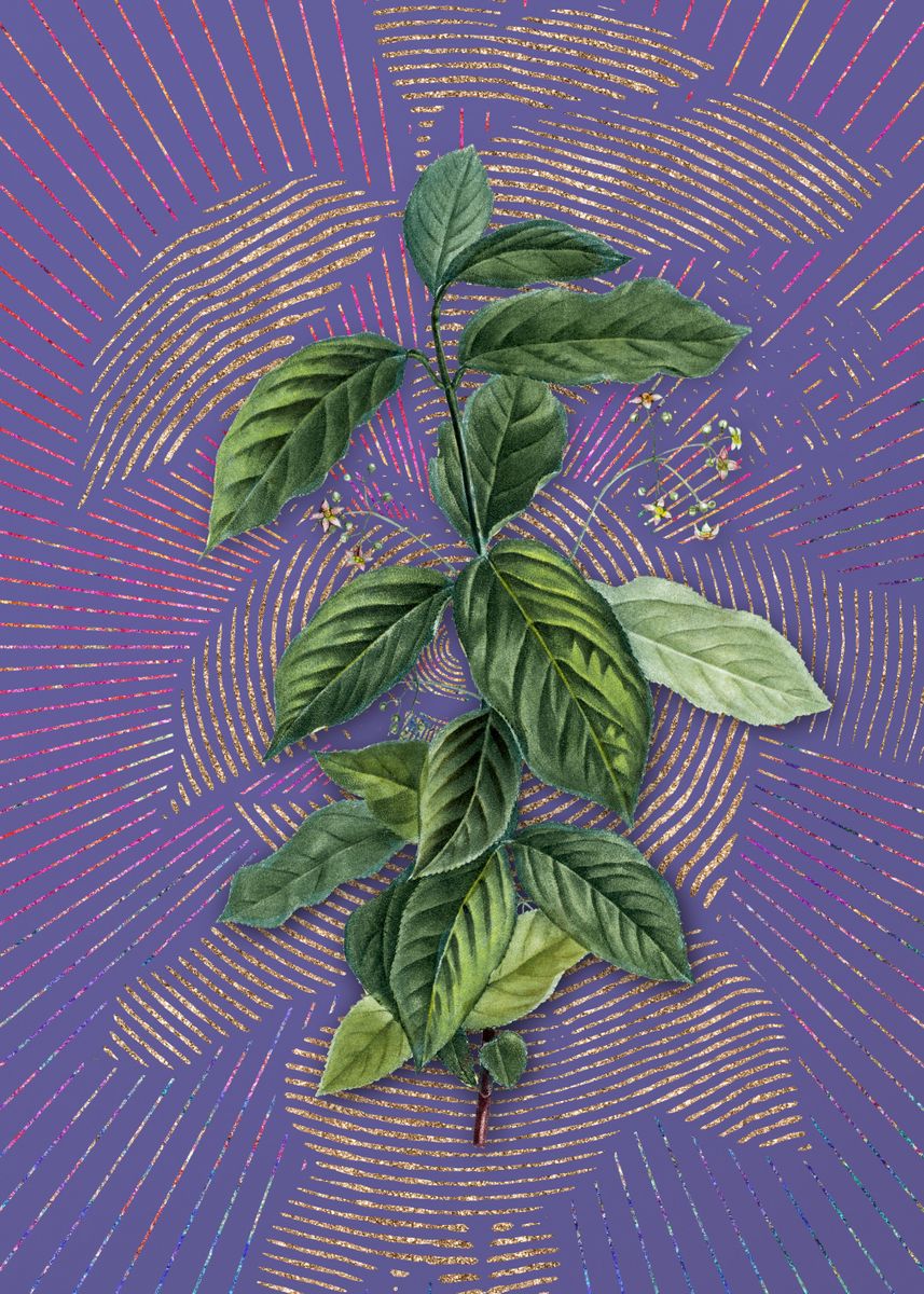 'Broadleaf Spindle' Poster, picture, metal print, paint by Holy Rock ...