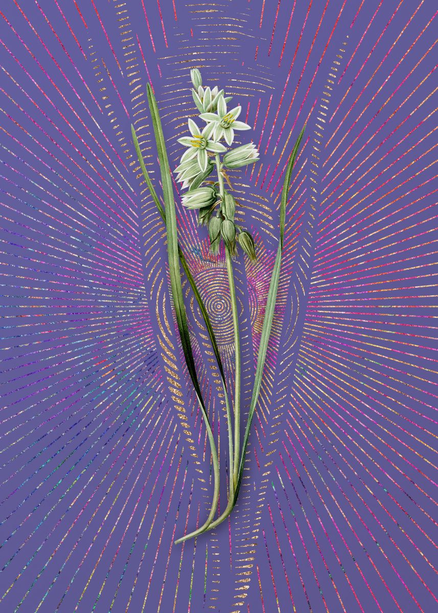 'Drooping Star of Bethlehem' Poster by Holy Rock Design | Displate