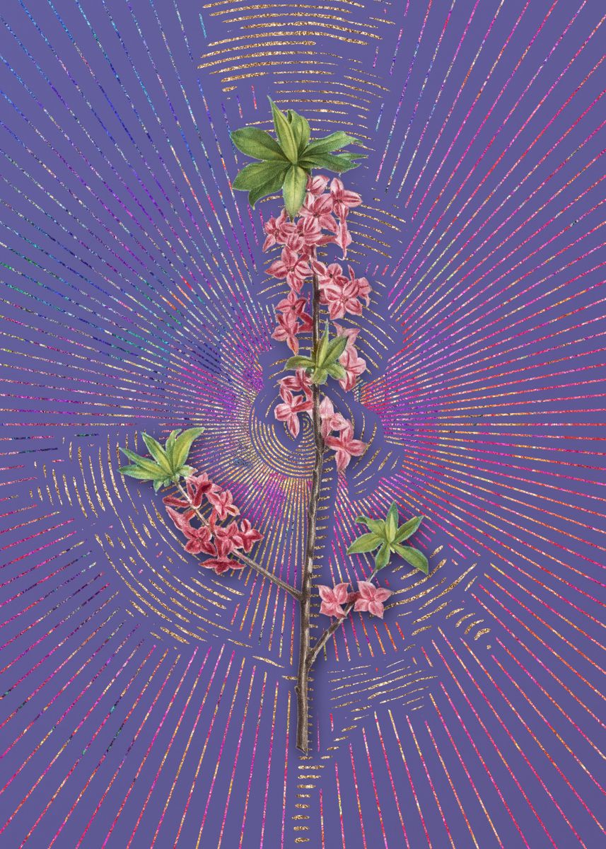 'February Daphne Flowers 2' Poster by Holy Rock Design | Displate