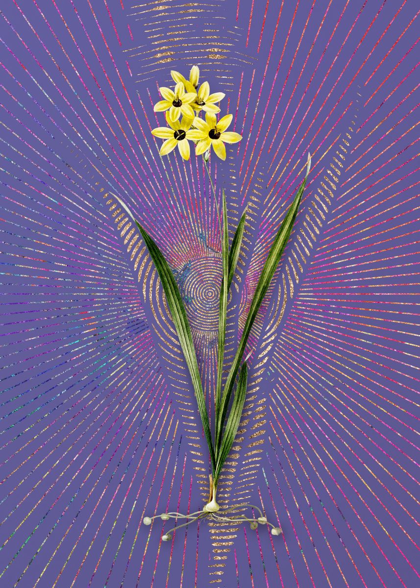 'Ixia Fusco Citrina' Poster by Holy Rock Design | Displate