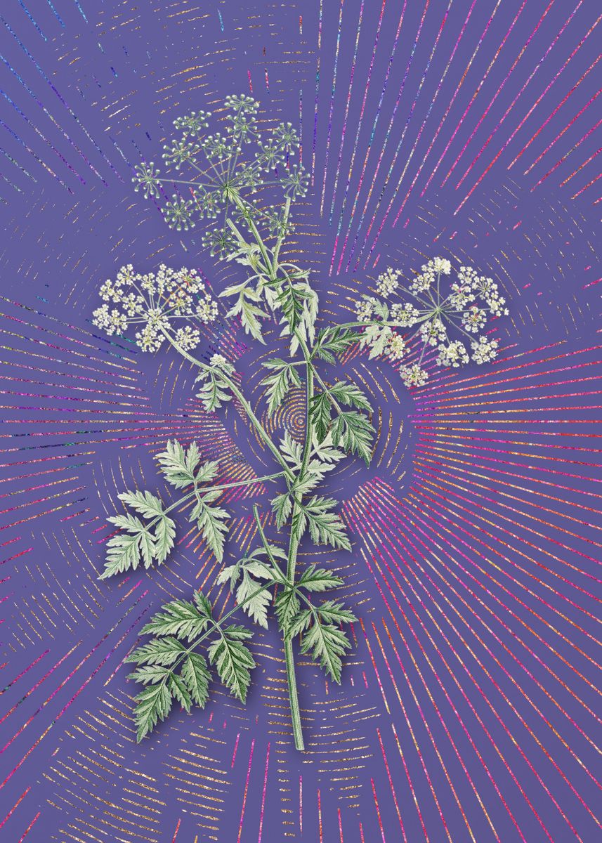 'Hemlock Flowers Violet' Poster by Holy Rock Design | Displate