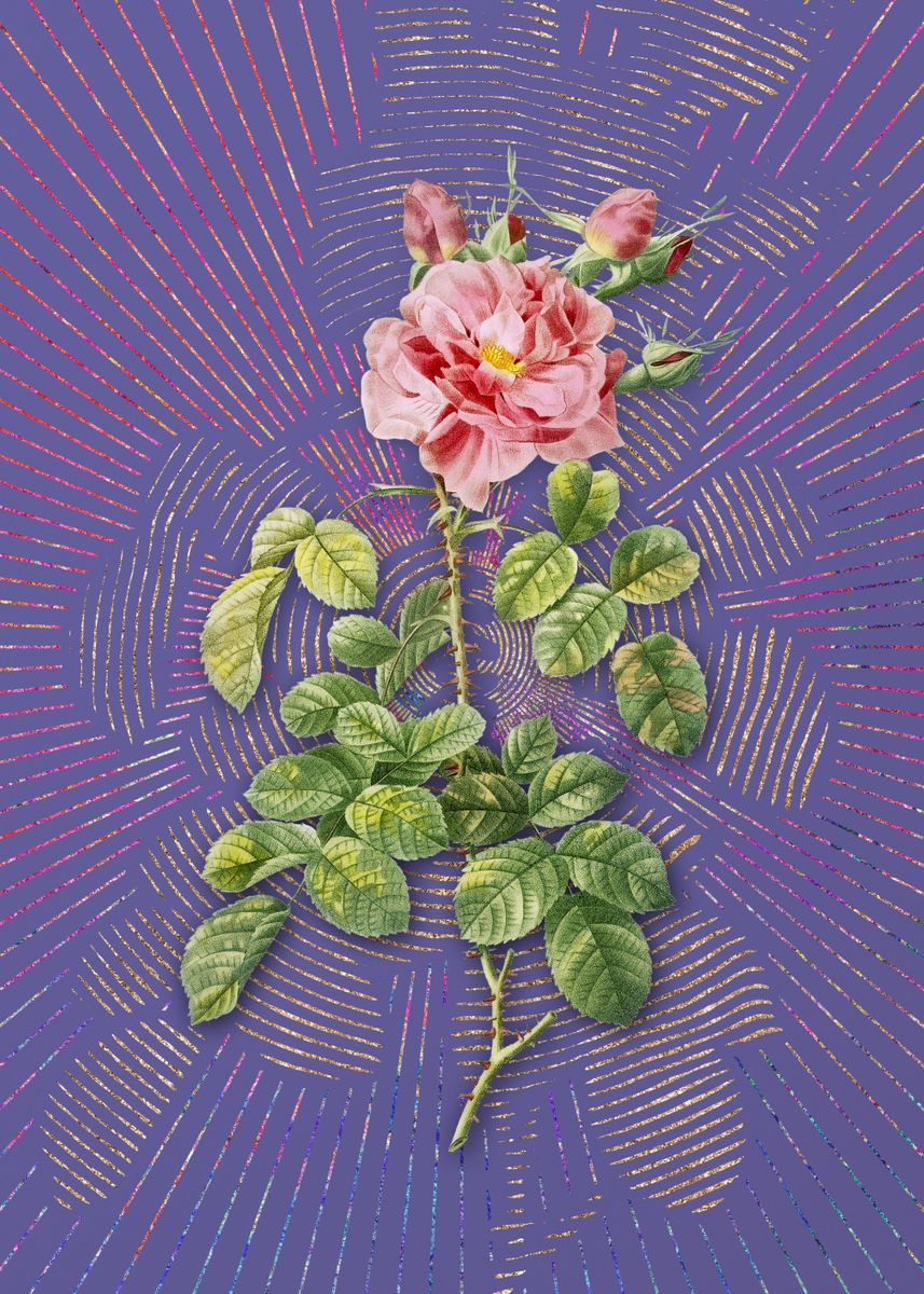 'Four Seasons Rose in Bloom' Poster, picture, metal print, paint by ...