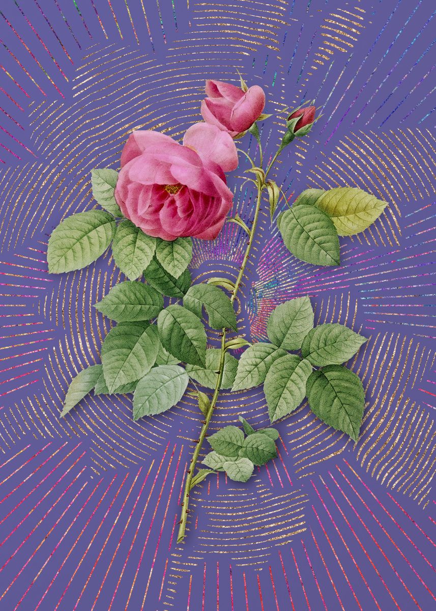 'Pink Bourbon Roses' Poster, picture, metal print, paint by Holy Rock ...